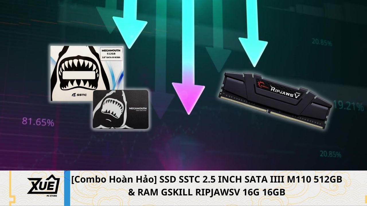 [CTKM- COMBO HOÀN HẢO] SSD SSTC 2.5 INCH SATA IIII M110 512GB & RAM ...